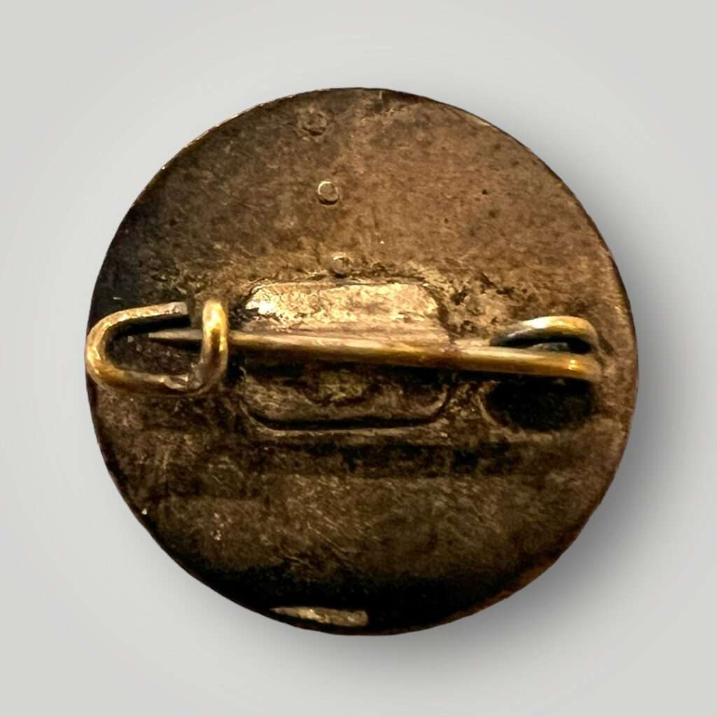 NSDAP Deutschland Erwache Party Pin I WW2 German Insignia